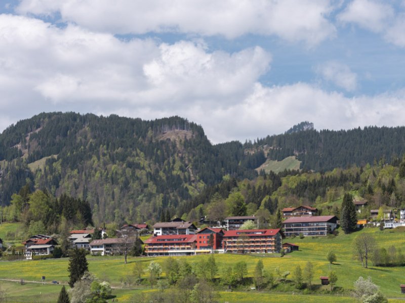 Partner: Adula Klinik