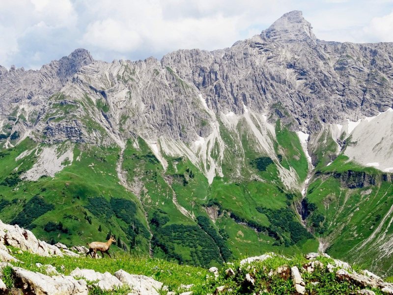 Hochvogel | Geführte Bergtour im Allgäu