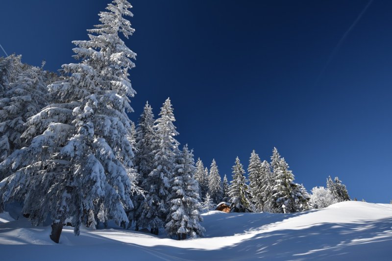 Panorama Hinterstein: Ein Blick ins Hintersteiner Tal