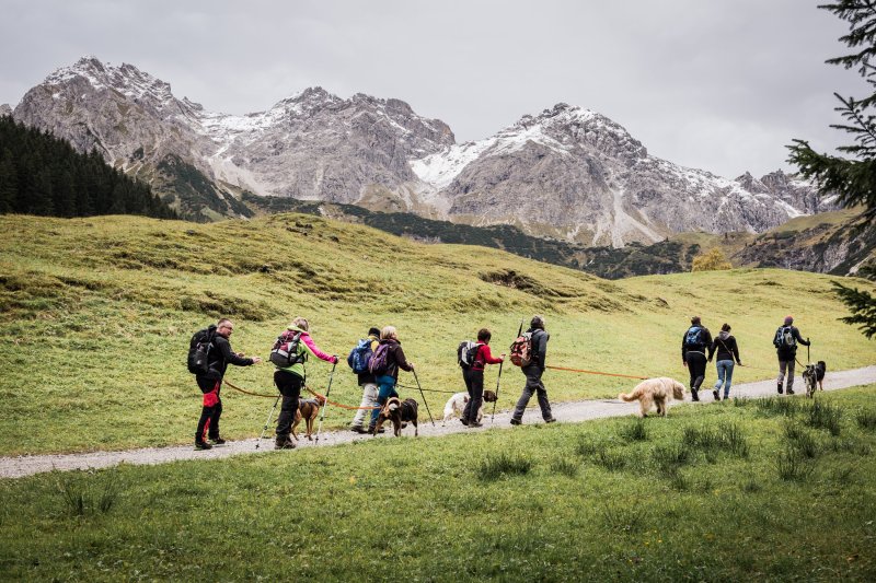 Überquerung der Allgäuer Alpen mit Hund | Hundewelt