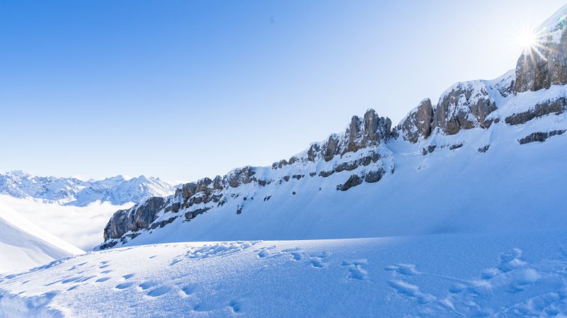 Ifen Skigebiet im Kleinwalsertal: Traumpisten für Genießer